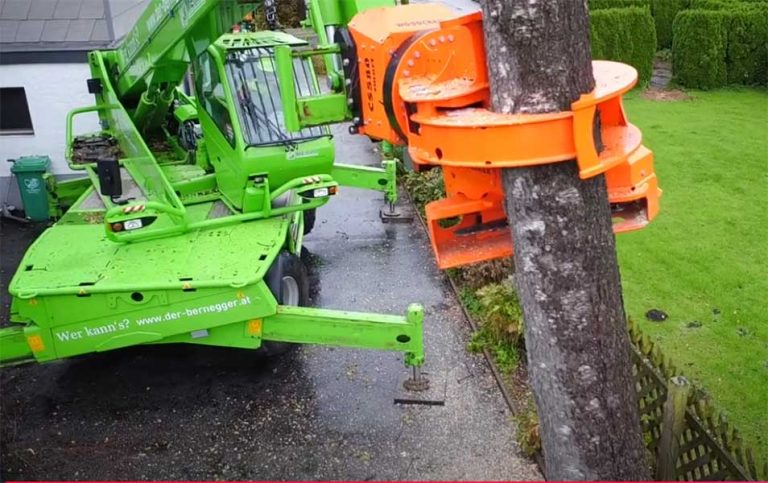 Woodcracker Tree Handler - Neuheimer Tree Care